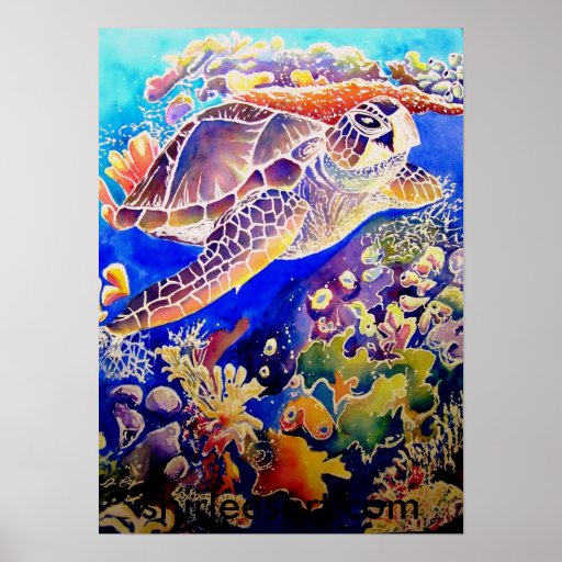 Green sea turtle and reef poster | Zazzle