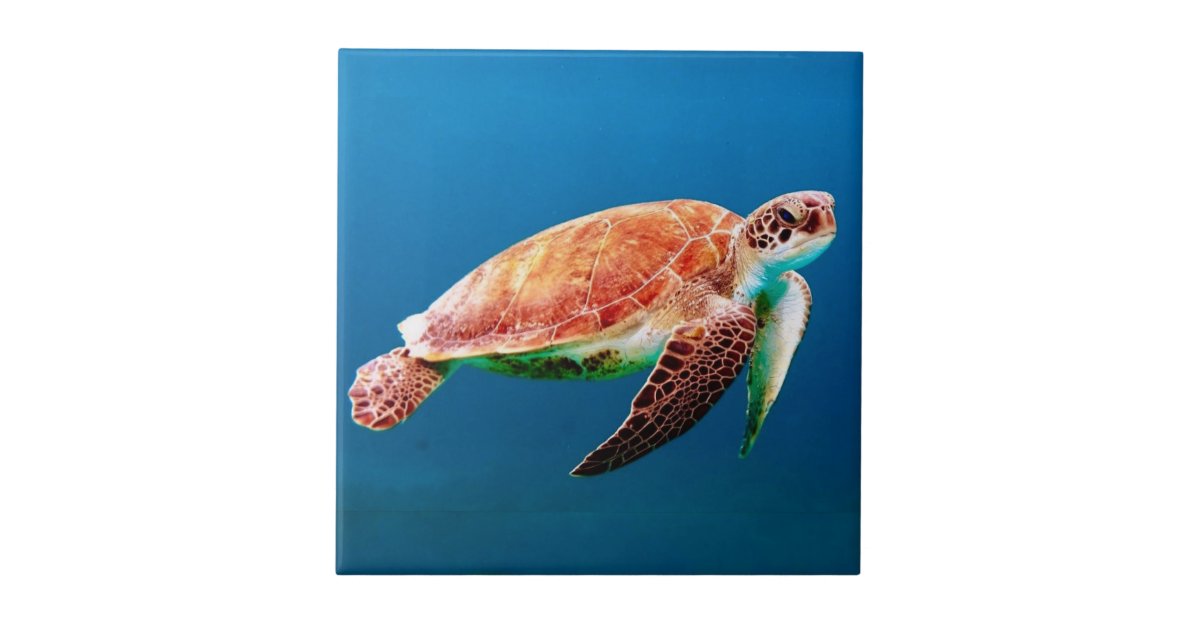 Green Sea Turtle Ceramic Tile | Zazzle
