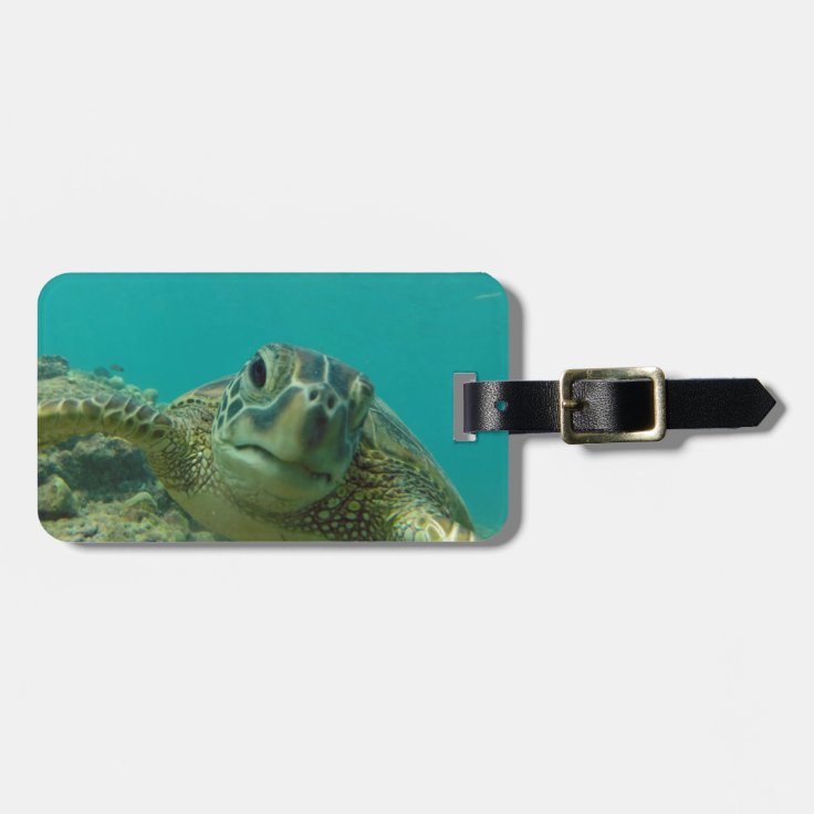 Green Sea Turtle Luggage Tag | Zazzle