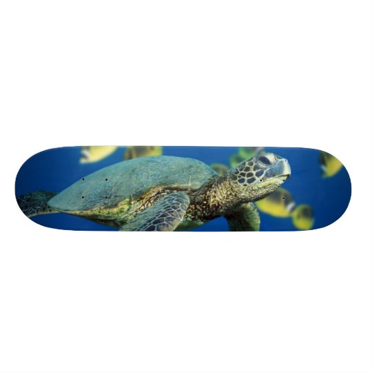 Green Sea Turtle Skateboard Deck | Zazzle.com