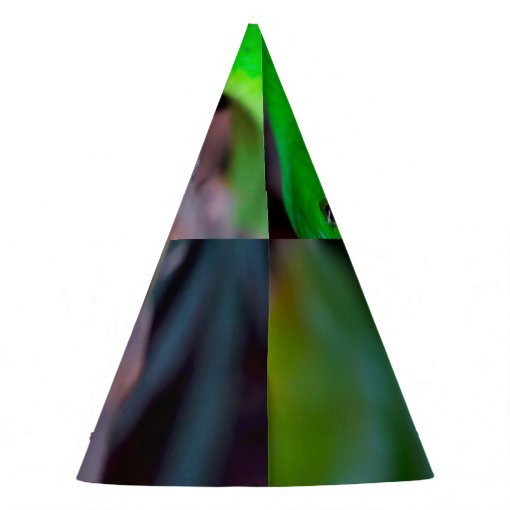 Green Snake Python Party Hat | Zazzle