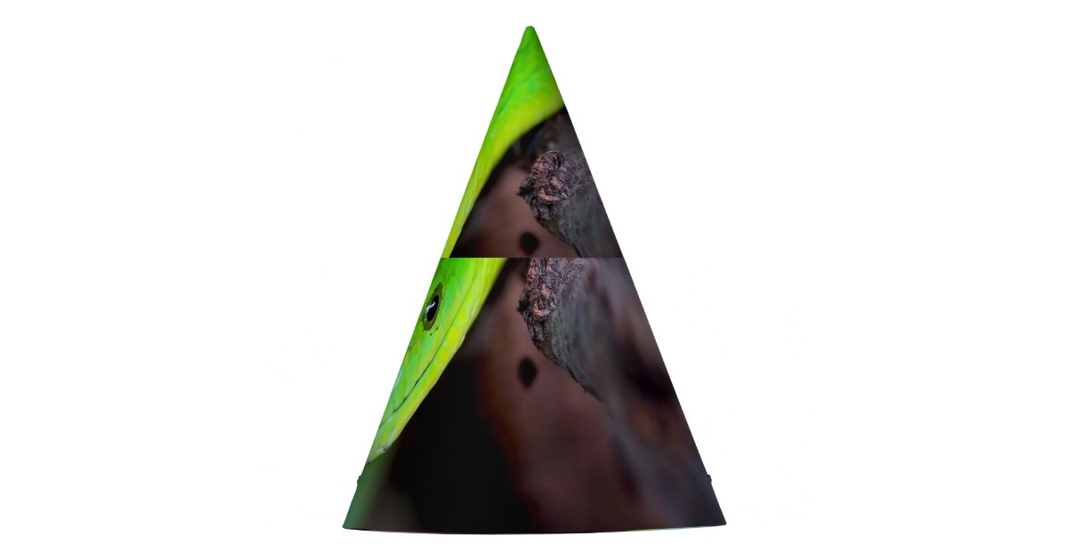 Green Snake Python Party Hat | Zazzle