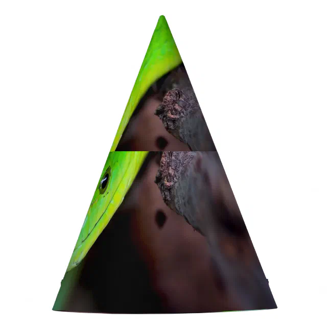 Green Snake Python Party Hat | Zazzle