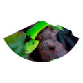 Green Snake Python Party Hat | Zazzle
