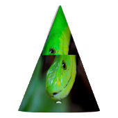 Green Snake Python Party Hat | Zazzle