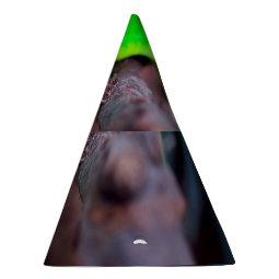 Green Snake Python Party Hat | Zazzle