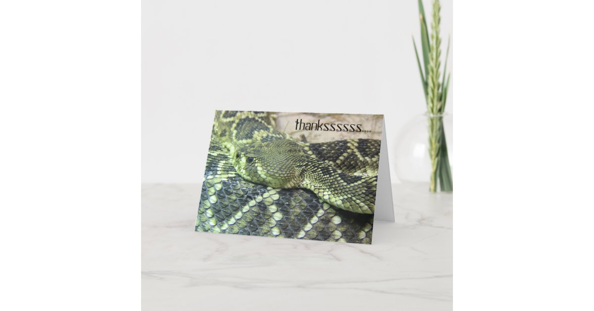 Green Snake Thank You notes, personalize text | Zazzle