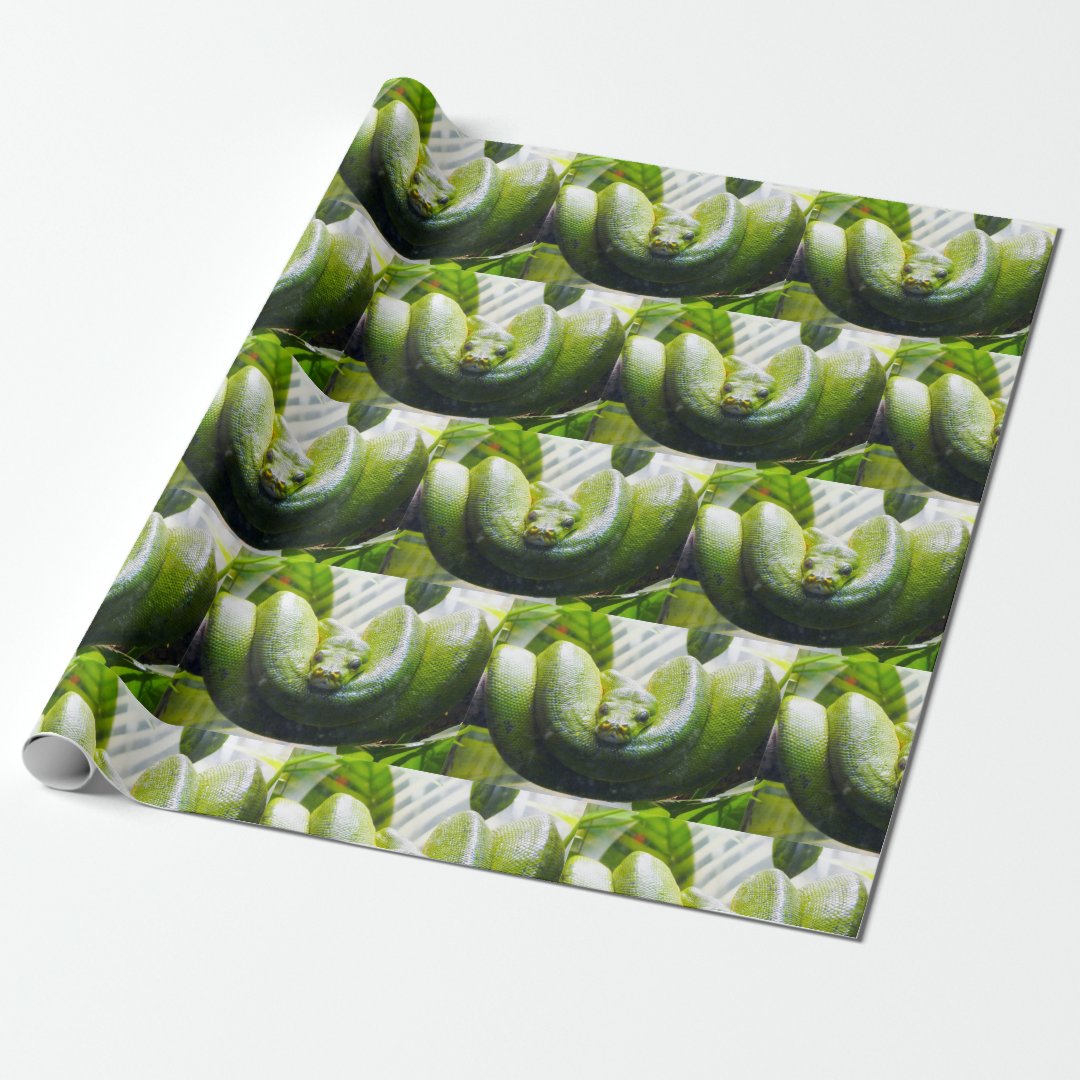 Green Snake Wrapping Paper | Zazzle