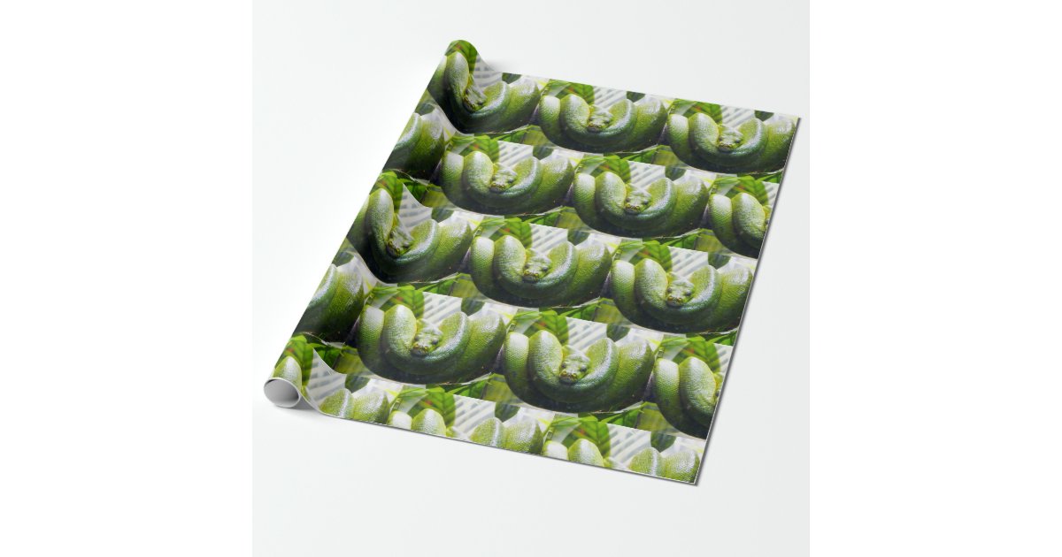 Green Snake Wrapping Paper | Zazzle