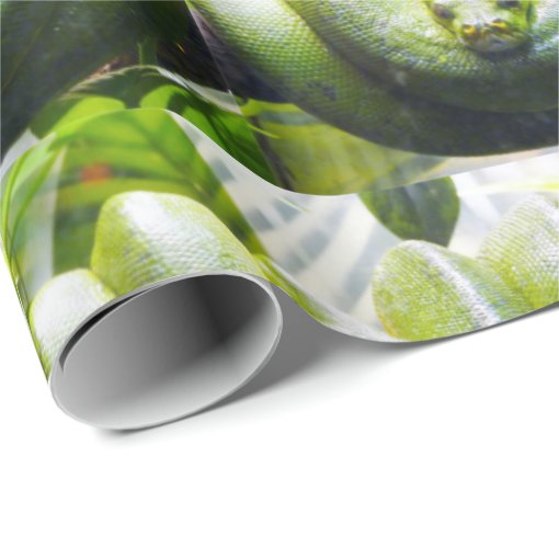 Green Snake Wrapping Paper | Zazzle