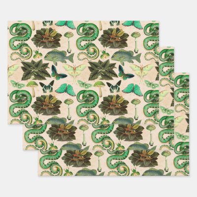 Snake Wrapping Paper