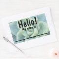 Green Succulent Name tag Stickers | Zazzle