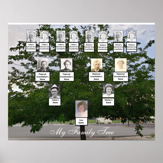 Green Summer Family Tree Photo Poster | Zazzle
