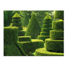 Longwood Gardens, Pennsylvania Postcard | Zazzle.com