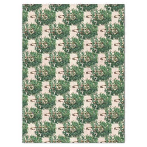 Green Trees Decoupage Tissue Paper | Zazzle