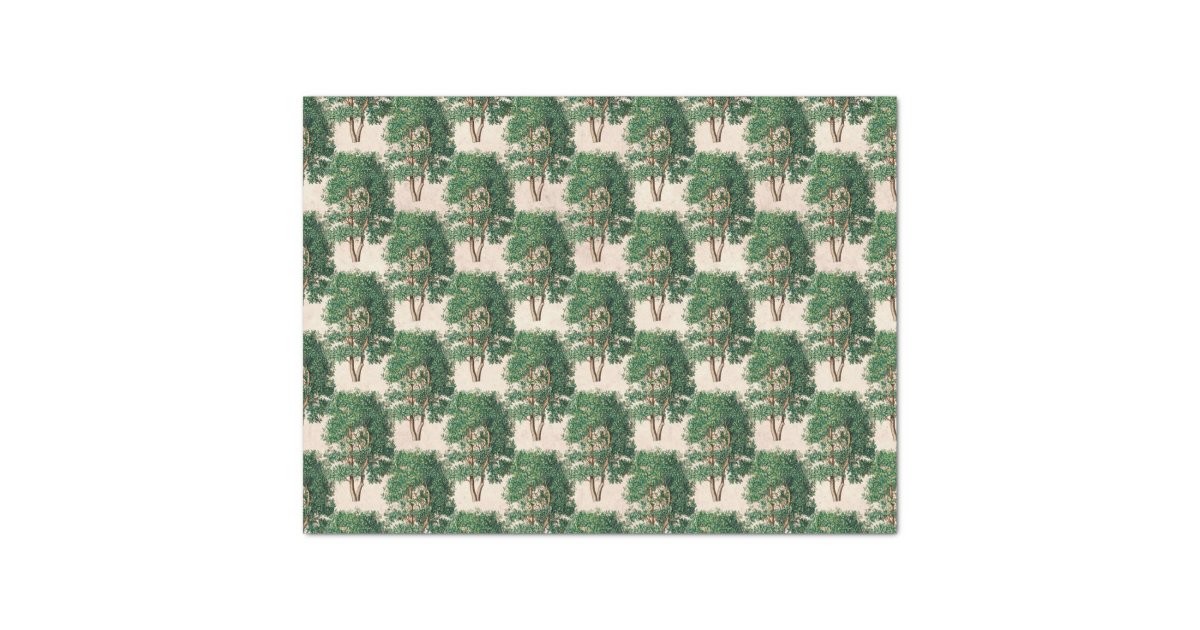 Green Trees Decoupage Tissue Paper | Zazzle