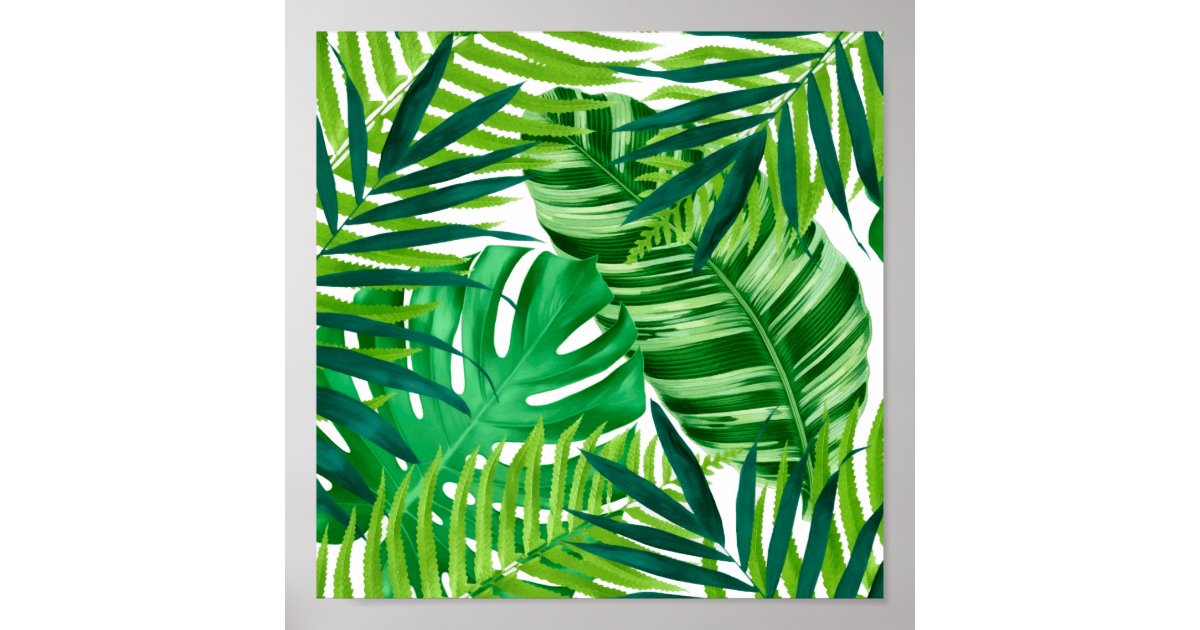 Green tropical leaves poster | Zazzle