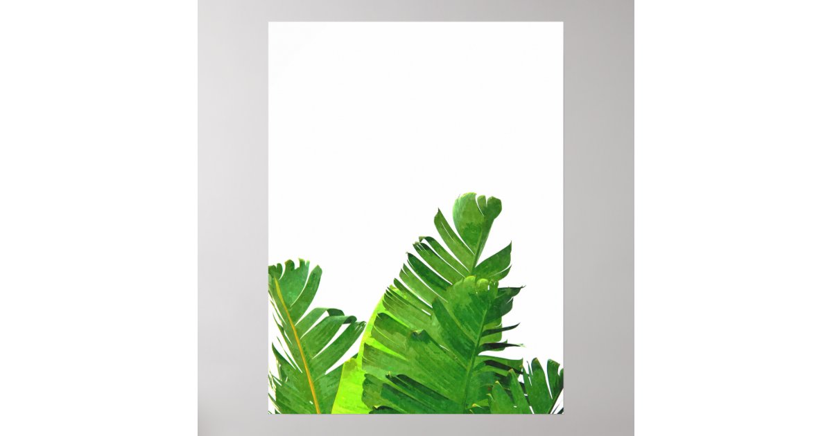 Green Tropical Palm Banana Leaves Poster | Zazzle