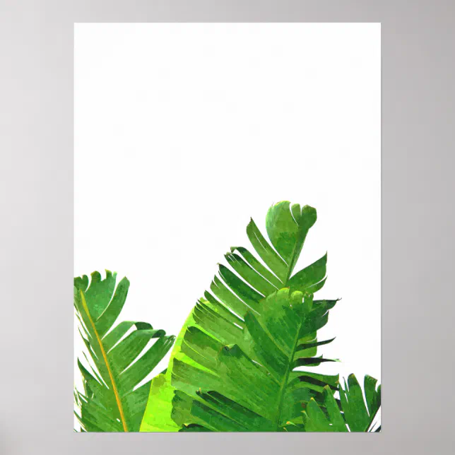Green Tropical Palm Banana Leaves Poster | Zazzle