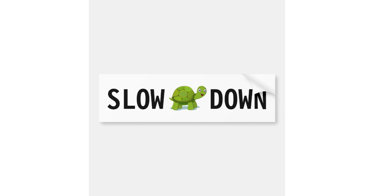 Green Turtle Bumper Sticker | Zazzle