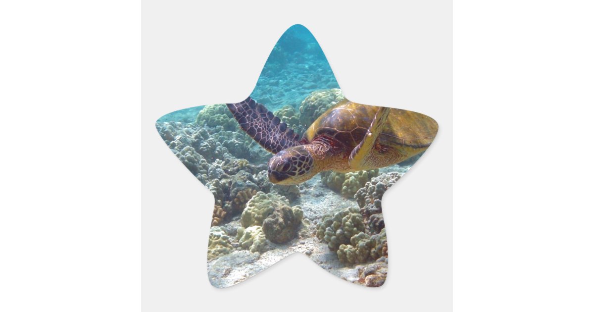 Green Turtle Star Sticker | Zazzle