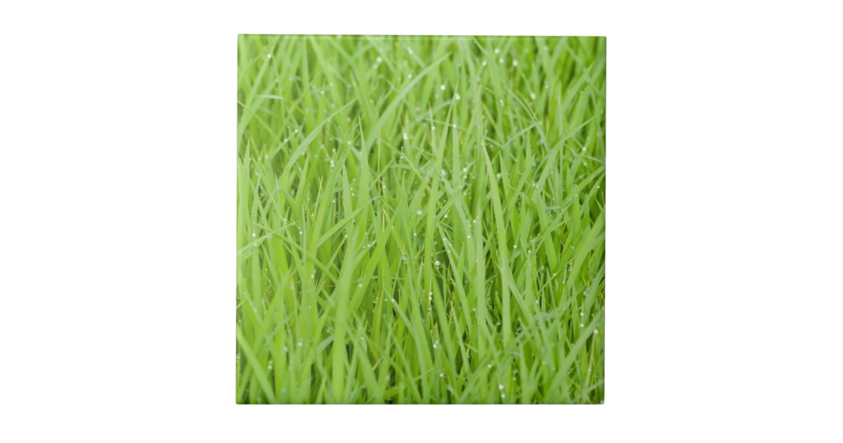 Green wet grass design ceramic tile | Zazzle