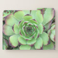 Green with Purple Tips Succulent Close-Up Photo File Folder | Zazzle