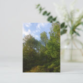 Greenery Postcard | Zazzle