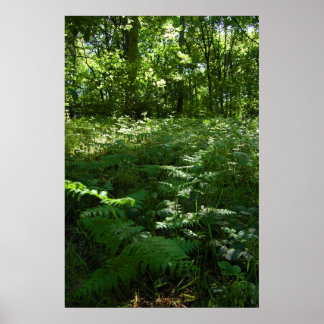 Greenery Posters | Zazzle