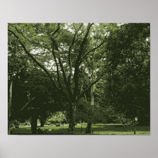 Greenery Posters | Zazzle