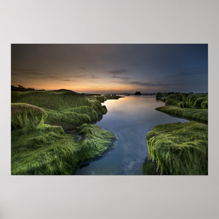 GREENERY POSTER | Zazzle