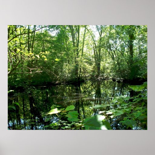 Greenery Scenery Poster | Zazzle