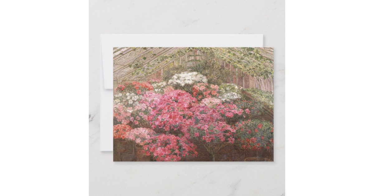 Greenhouse Azaleas | Marie Antoinette Marcotte | Zazzle
