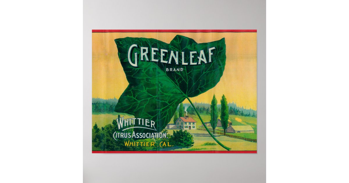 Greenleaf Lemon LabelWhittier, CA Poster | Zazzle
