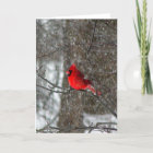 Red Cardinal In Snow - Birthday Card | Zazzle.com