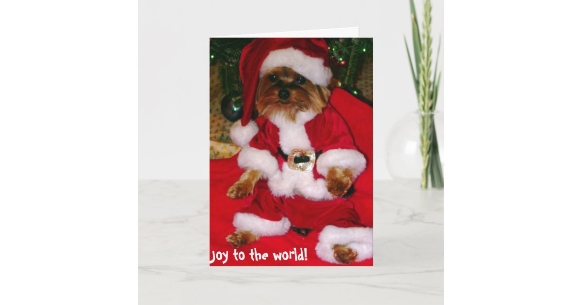 Greeting Cards | Zazzle