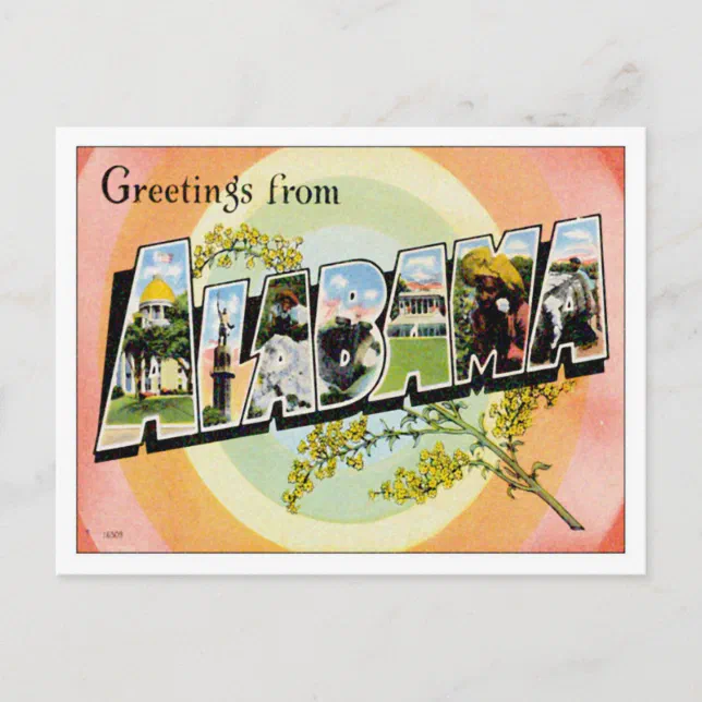 Greetings From Alabama Postcard | Zazzle