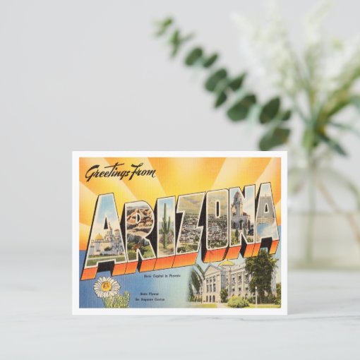 Greetings from Arizona Vintage Travel Postcard | Zazzle