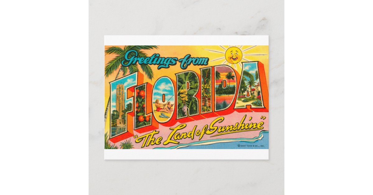 Greetings From Florida Postcard | Zazzle