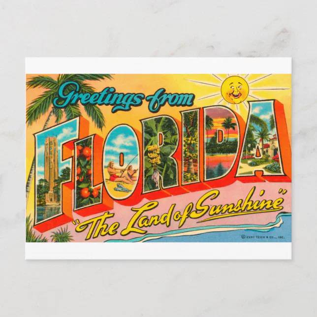 Greetings From Florida Postcard | Zazzle