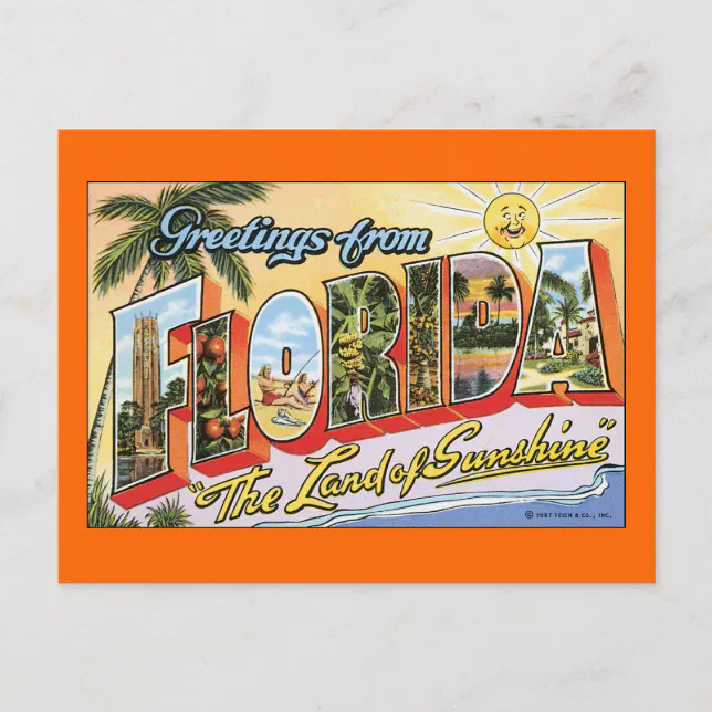 Greetings From Florida Postcard | Zazzle