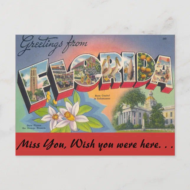 Greetings from FLORIDA Postcard | Zazzle