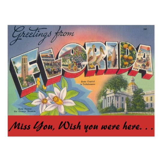 Greetings from FLORIDA Postcard | Zazzle.com