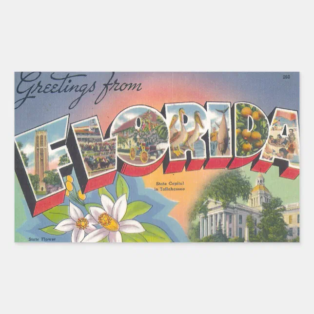 Greetings from FLORIDA Rectangular Sticker | Zazzle
