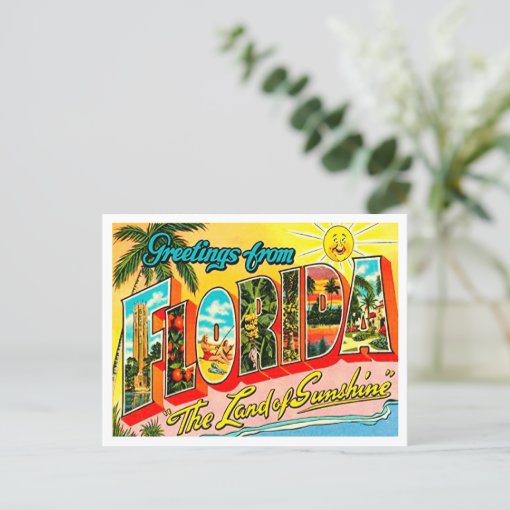 Greetings from Florida Vintage Travel Postcard | Zazzle
