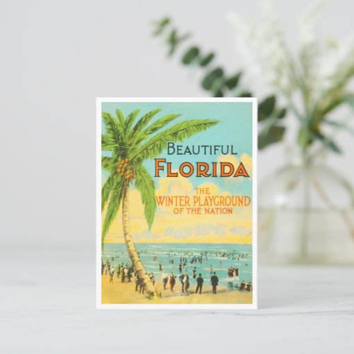 Greetings from Florida Vintage Travel Postcard | Zazzle
