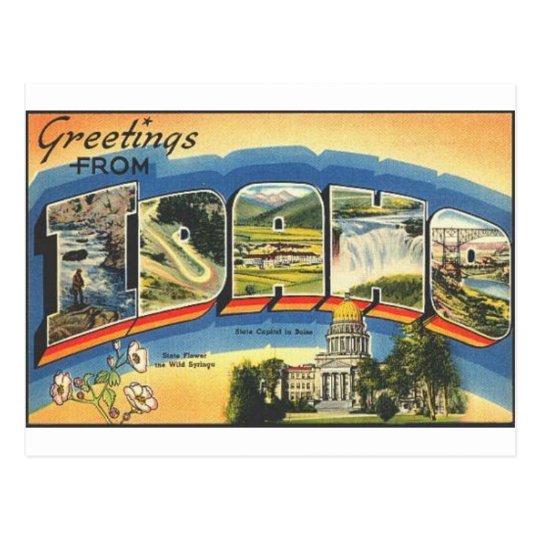 Greetings from Idaho Postcard | Zazzle.com
