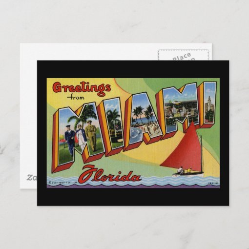 Greetings from Miami Florida Postcard | Zazzle