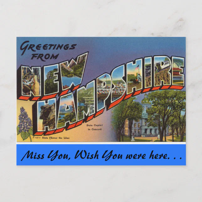 Greetings from New Hampshire Postcard | Zazzle