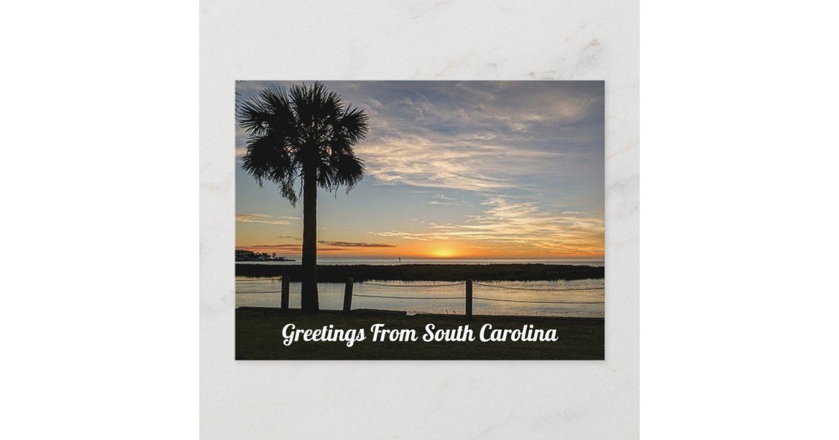 Greetings From South Carolina Postcard | Zazzle